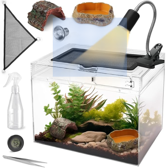 Bearded Dragon Starter Kit Essentials for New Owners - Go BEARDED DRAGON